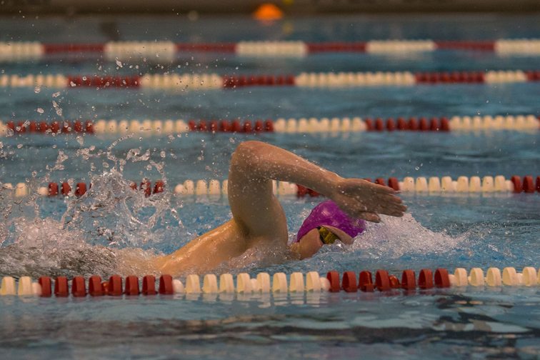 Bears Come Away With CCAA Title | News, Sports, Jobs - Post Journal